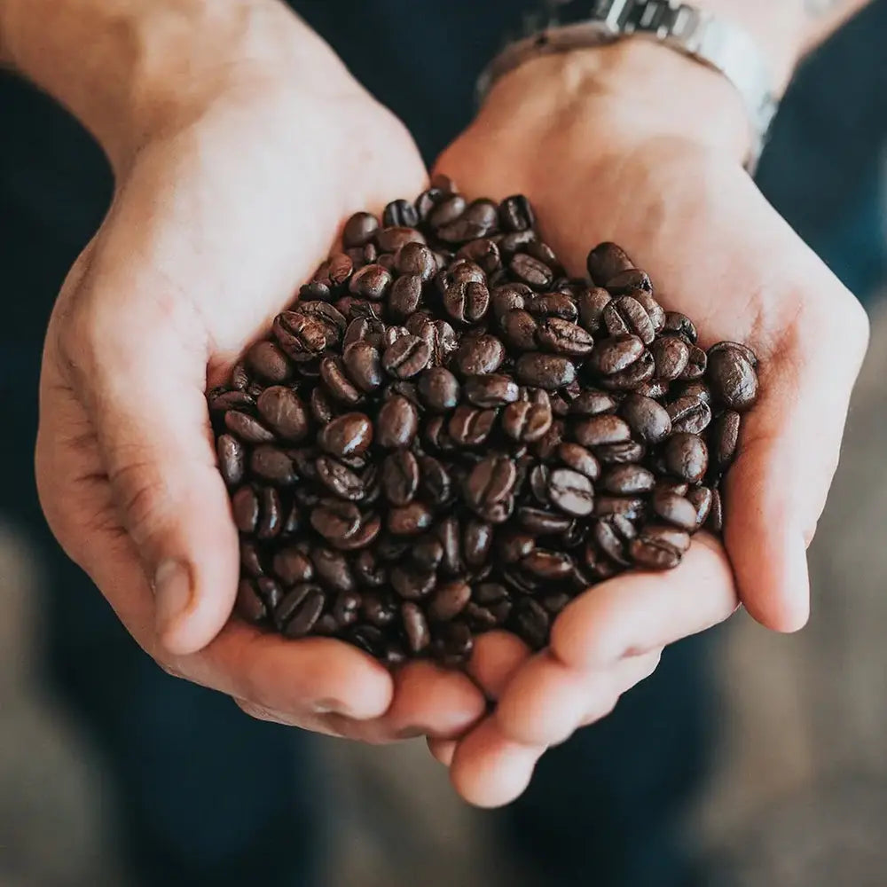 Can You Eat Coffee Beans? The Delicious Truth About Munching on Your B ...